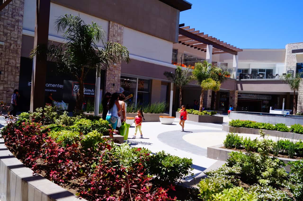 OPEN PLAZA OVALLE – Terraflor Paisajismo