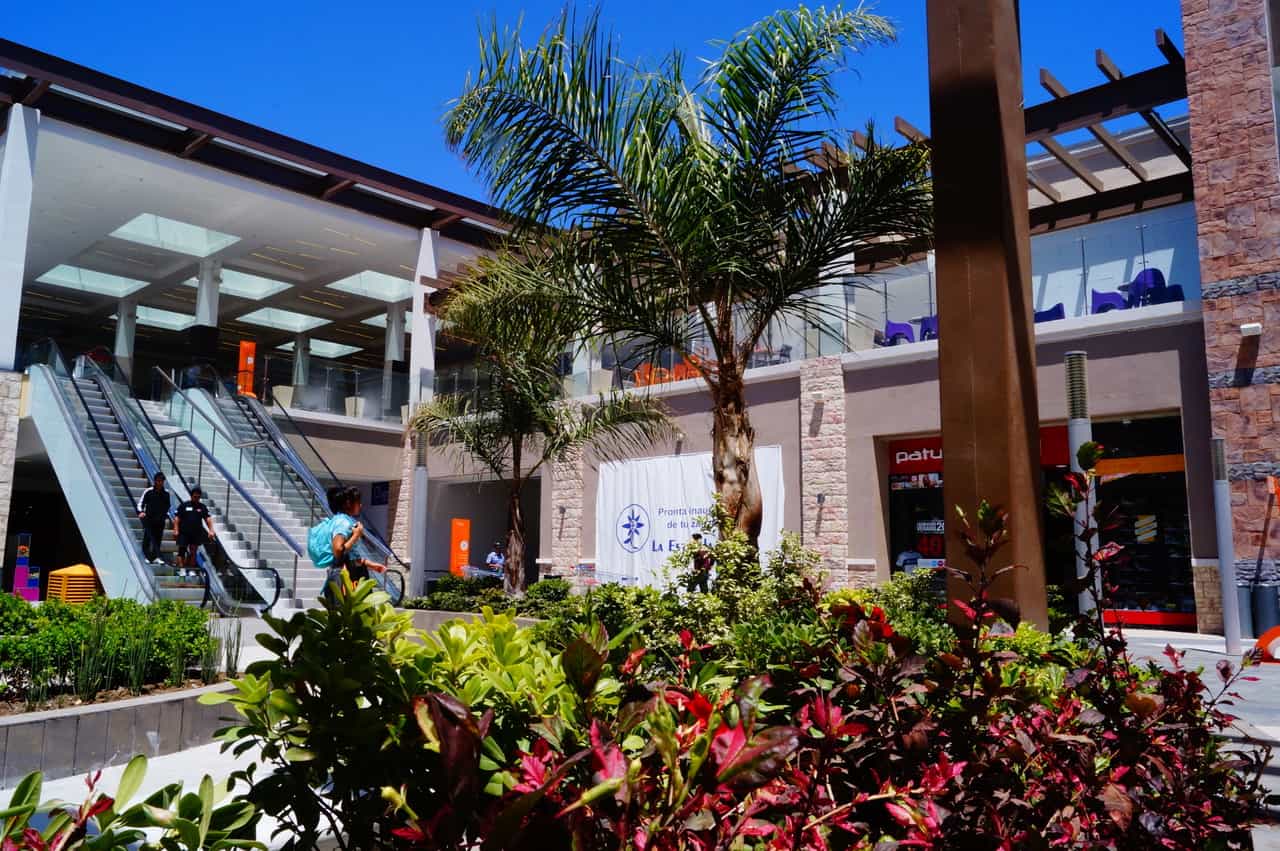 OPEN PLAZA OVALLE – Terraflor Paisajismo
